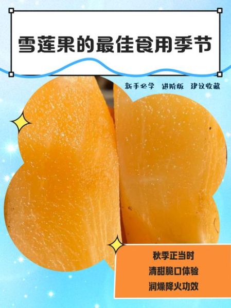 雪莲果的正确吃法大全_雪莲果怎么吃最好-第1张图片-山城妙识