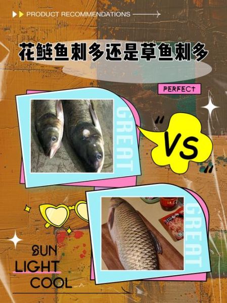 鲢鱼刺多吗_小孩能吃吗-第1张图片-山城妙识 鲢鱼刺多吗_小孩能吃吗-第1张图片-山城妙识