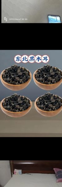 木耳八大品种有哪些_黑木耳和毛木耳区别-第3张图片-山城妙识