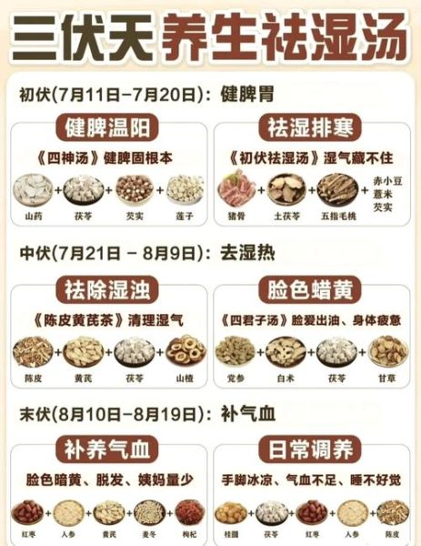 清热祛湿茶配方大全_适合长期喝的有哪些-第1张图片-山城妙识