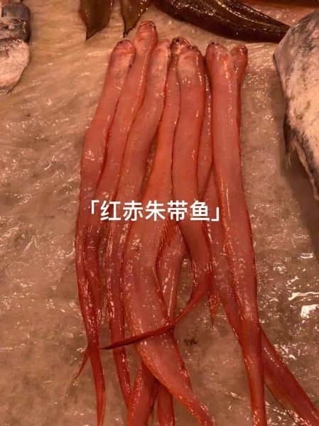 红色的海鱼有哪些品种_怎么分辨真假红鲷-第2张图片-山城妙识 红色的海鱼有哪些品种_怎么分辨真假红鲷-第2张图片-山城妙识
