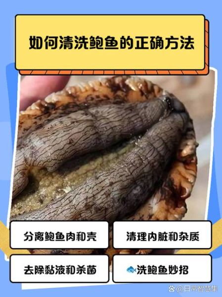 怎么洗鲍鱼才干净_鲍鱼清洗视频教程-第2张图片-山城妙识