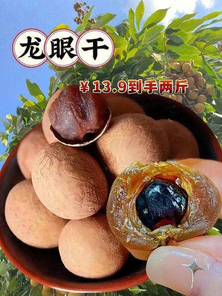 龙眼干的功效与禁忌_孕妇能吃吗-第3张图片-山城妙识