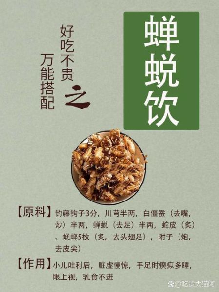 蝉蜕煮水喝的功效与禁忌_孕妇可以喝吗-第1张图片-山城妙识 蝉蜕煮水喝的功效与禁忌_孕妇可以喝吗-第1张图片-山城妙识