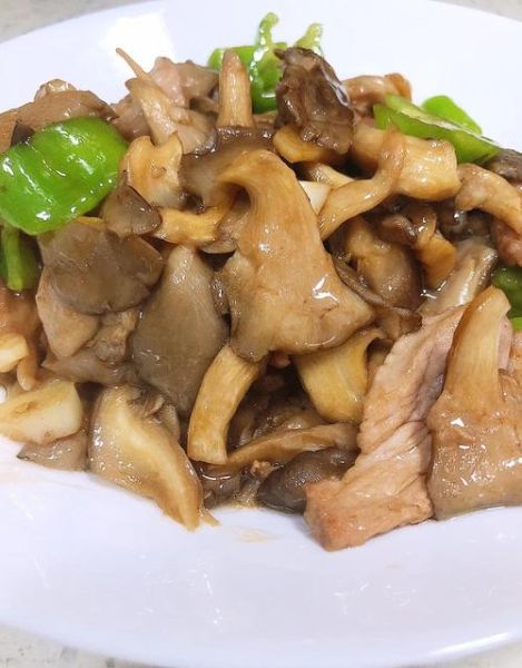 蘑菇炒肉用什么蘑菇比较好_口感最嫩品种推荐-第1张图片-山城妙识 蘑菇炒肉用什么蘑菇比较好_口感最嫩品种推荐-第1张图片-山城妙识