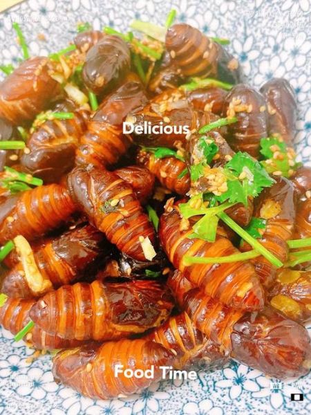 蚕蛹怎么吃营养不流失_蚕蛹怎么做好吃又健康-第3张图片-山城妙识 蚕蛹怎么吃营养不流失_蚕蛹怎么做好吃又健康-第3张图片-山城妙识