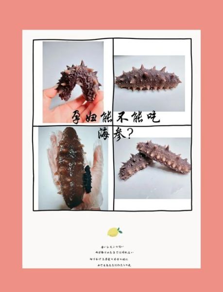 孕妇可以吃海参吗_怀孕吃海参的好处与禁忌-第1张图片-山城妙识 孕妇可以吃海参吗_怀孕吃海参的好处与禁忌-第1张图片-山城妙识