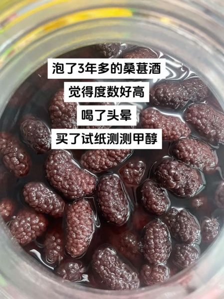 桑葚酒的功效与作用及禁忌症_哪些人不能喝-第3张图片-山城妙识