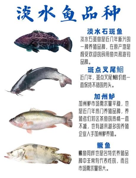 淡水鱼有哪些品种图片_淡水鱼品种大全图解-第2张图片-山城妙识