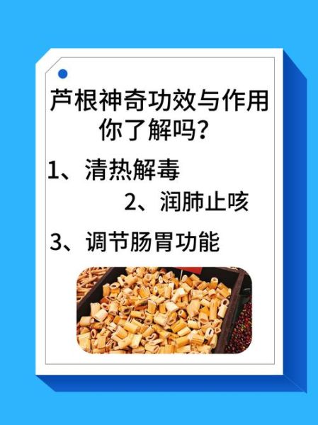 芦根的功效与作用_芦根怎么泡水喝-第2张图片-山城妙识