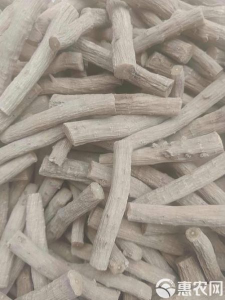 怀牛膝图片长什么样_怀牛膝真假怎么分辨-第3张图片-山城妙识 怀牛膝图片长什么样_怀牛膝真假怎么分辨-第3张图片-山城妙识