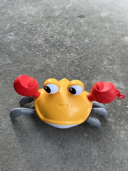 螃蟹玩具车怎么选_螃蟹玩具车适合几岁孩子-第2张图片-山城妙识 螃蟹玩具车怎么选_螃蟹玩具车适合几岁孩子-第2张图片-山城妙识