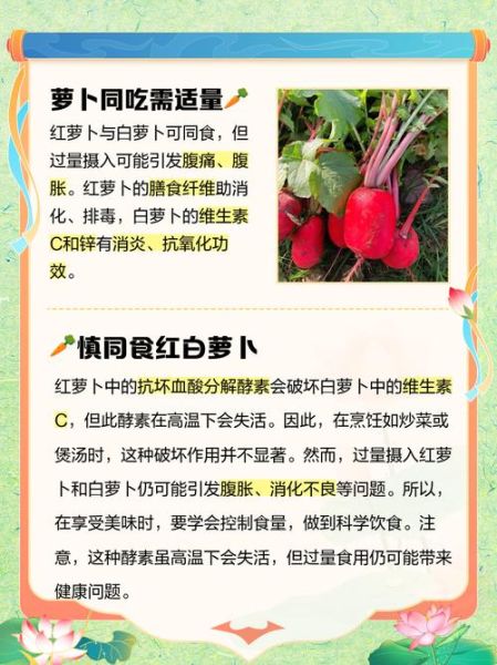 白萝卜和胡萝卜能一起吃吗_真相揭秘-第1张图片-山城妙识