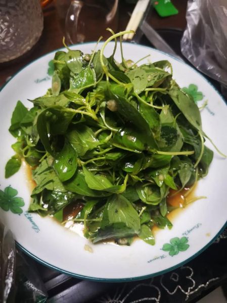 荆芥怎么吃_荆芥的吃法有哪些-第1张图片-山城妙识 荆芥怎么吃_荆芥的吃法有哪些-第1张图片-山城妙识