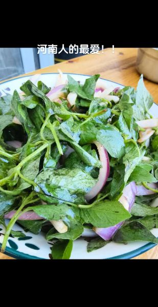 荆芥怎么吃_荆芥的吃法有哪些-第2张图片-山城妙识 荆芥怎么吃_荆芥的吃法有哪些-第2张图片-山城妙识