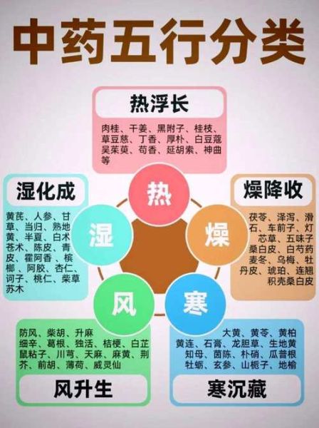 五行汤不适合什么人喝_哪些体质要避开-第2张图片-山城妙识