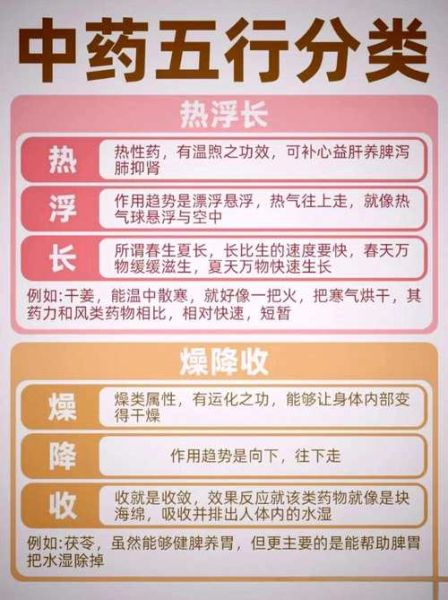 五行汤不适合什么人喝_哪些体质要避开-第1张图片-山城妙识