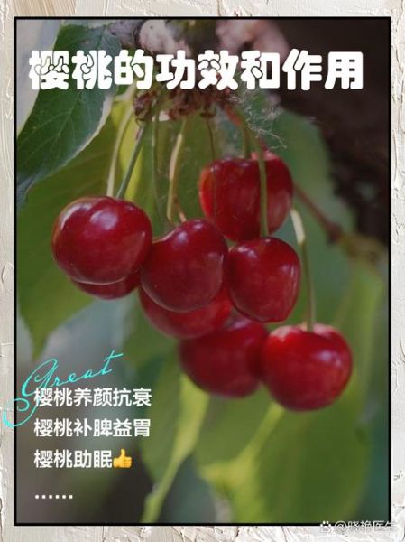 车厘子有什么功效与作用_车厘子禁忌症有哪些-第1张图片-山城妙识