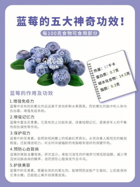 蓝莓的功效与作用禁忌_蓝莓一天吃多少颗最好-第2张图片-山城妙识 蓝莓的功效与作用禁忌_蓝莓一天吃多少颗最好-第2张图片-山城妙识