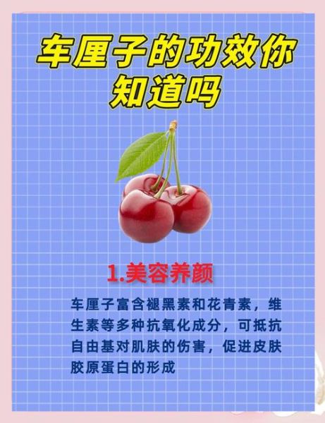 车厘子有什么功效与作用_车厘子禁忌症有哪些-第2张图片-山城妙识