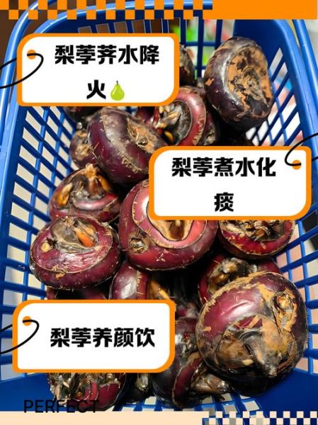 荸荠和梨煮水的功效_适合什么人喝-第1张图片-山城妙识 荸荠和梨煮水的功效_适合什么人喝-第1张图片-山城妙识