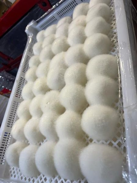 毛豆腐怎么做_毛豆腐为什么长白毛-第3张图片-山城妙识