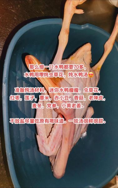 水鸭汤的做法大全_水鸭汤怎么炖才好吃-第3张图片-山城妙识 水鸭汤的做法大全_水鸭汤怎么炖才好吃-第3张图片-山城妙识