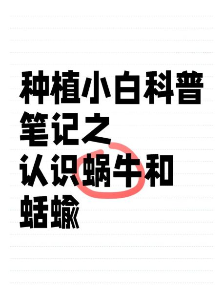 蛞蝓对人体有什么危害_蛞蝓会传播寄生虫吗-第2张图片-山城妙识 蛞蝓对人体有什么危害_蛞蝓会传播寄生虫吗-第2张图片-山城妙识