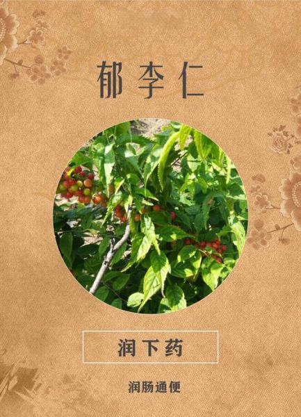 根治便秘的偏方大全_便秘吃什么最快通便-第1张图片-山城妙识 根治便秘的偏方大全_便秘吃什么最快通便-第1张图片-山城妙识