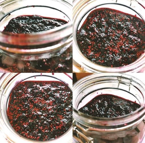 桑椹酱怎么做_自制桑椹酱保存多久-第1张图片-山城妙识