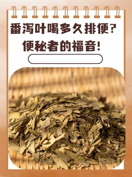 番泻叶可以天天喝吗_长期饮用副作用-第3张图片-山城妙识