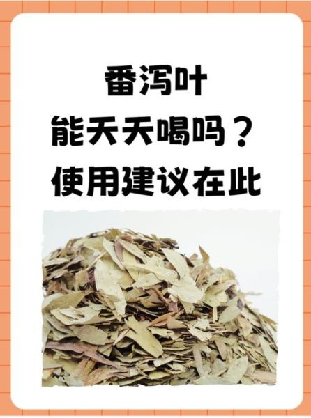 番泻叶可以天天喝吗_长期饮用副作用-第2张图片-山城妙识