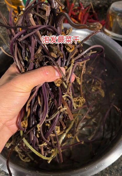 干蕨菜怎么泡开快_干蕨菜快速泡发技巧-第3张图片-山城妙识 干蕨菜怎么泡开快_干蕨菜快速泡发技巧-第3张图片-山城妙识
