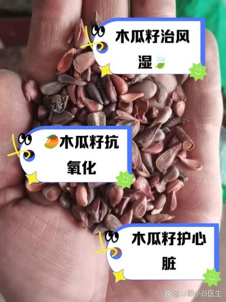 木瓜中间的籽能吃吗_木瓜籽的功效与禁忌-第2张图片-山城妙识 木瓜中间的籽能吃吗_木瓜籽的功效与禁忌-第2张图片-山城妙识