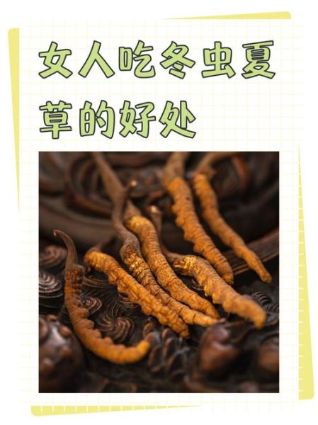 冬虫夏草怎么吃最好吸收_冬虫夏草一天吃几根合适-第1张图片-山城妙识 冬虫夏草怎么吃最好吸收_冬虫夏草一天吃几根合适-第1张图片-山城妙识