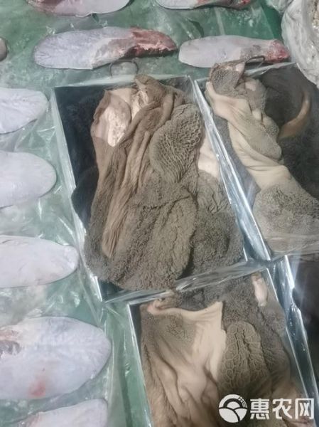 牛肚上的黑绒要不要洗掉_牛肚黑绒怎么去除-第2张图片-山城妙识