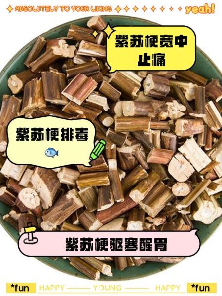 紫苏晒干后有什么作用_紫苏叶晒干后怎么保存-第1张图片-山城妙识