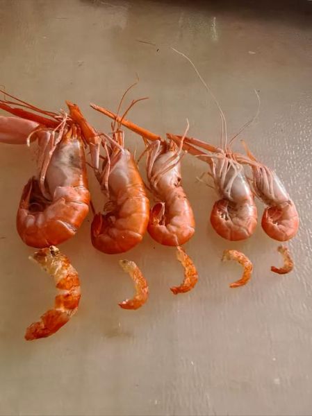 海米怎么保存_海米放冷藏还是冷冻-第3张图片-山城妙识