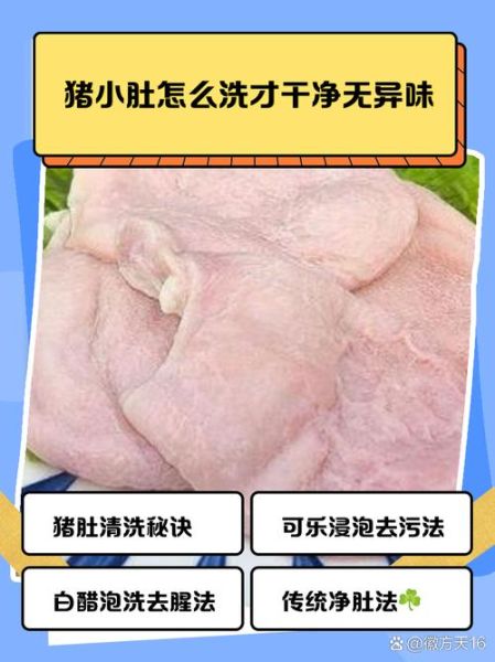 猪肚怎么洗干净又没臭味_猪肚去腥技巧-第1张图片-山城妙识 猪肚怎么洗干净又没臭味_猪肚去腥技巧-第1张图片-山城妙识