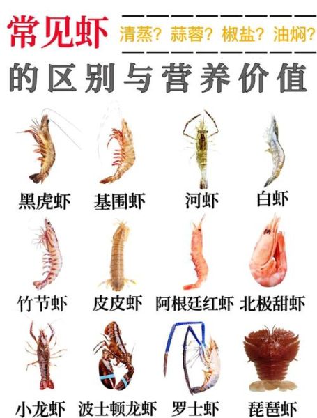 虾的营养价值高吗_虾的营养成分有哪些-第3张图片-山城妙识 虾的营养价值高吗_虾的营养成分有哪些-第3张图片-山城妙识