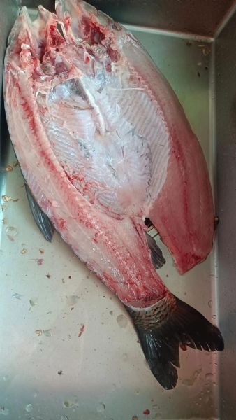 自制糟鱼的做法_糟鱼怎么做好吃又入味-第3张图片-山城妙识 自制糟鱼的做法_糟鱼怎么做好吃又入味-第3张图片-山城妙识