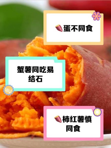 红薯不能和什么一起吃_红薯与哪些食物相克-第2张图片-山城妙识 红薯不能和什么一起吃_红薯与哪些食物相克-第2张图片-山城妙识