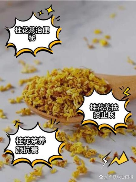 桂花茶喝了有什么好处_桂花茶的功效与作用-第3张图片-山城妙识 桂花茶喝了有什么好处_桂花茶的功效与作用-第3张图片-山城妙识