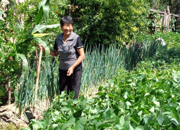 豆芽机骗局有哪些套路_如何避免被坑-第3张图片-山城妙识 豆芽机骗局有哪些套路_如何避免被坑-第3张图片-山城妙识
