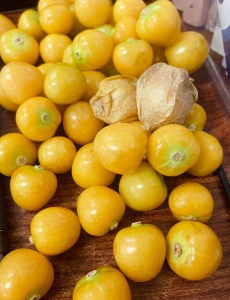 东北特色水果有哪些_东北特产水果怎么吃-第1张图片-山城妙识