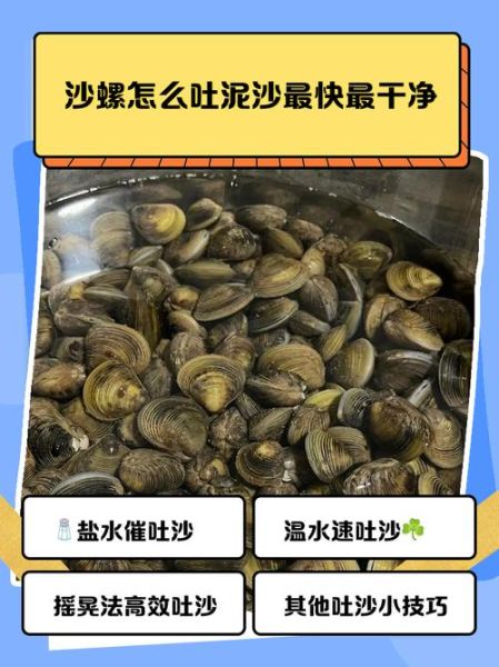 福建沙螺是什么_福建沙螺怎么吃-第1张图片-山城妙识 福建沙螺是什么_福建沙螺怎么吃-第1张图片-山城妙识