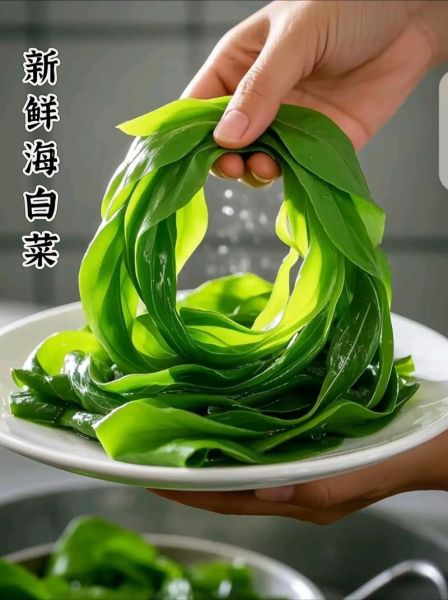 海菜梗是什么_海菜梗怎么吃-第1张图片-山城妙识 海菜梗是什么_海菜梗怎么吃-第1张图片-山城妙识