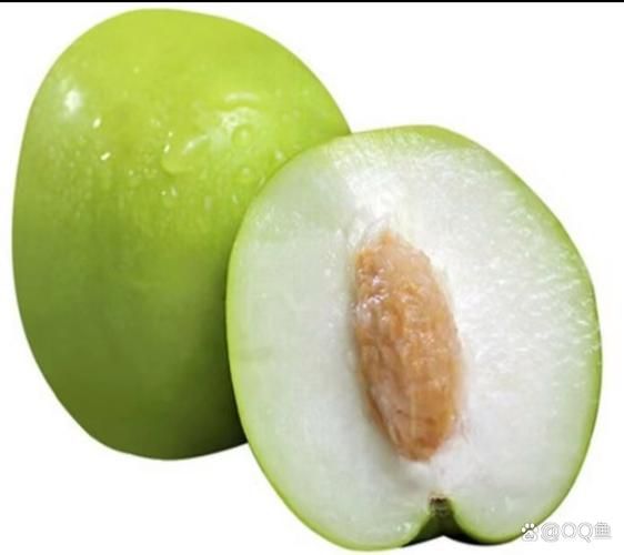 青枣什么时候成熟_青枣成熟月份-第1张图片-山城妙识