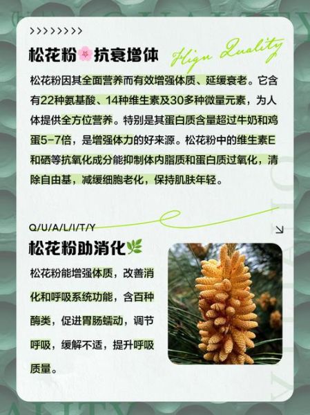 什么病不能吃松花粉_松花粉禁忌人群有哪些-第3张图片-山城妙识