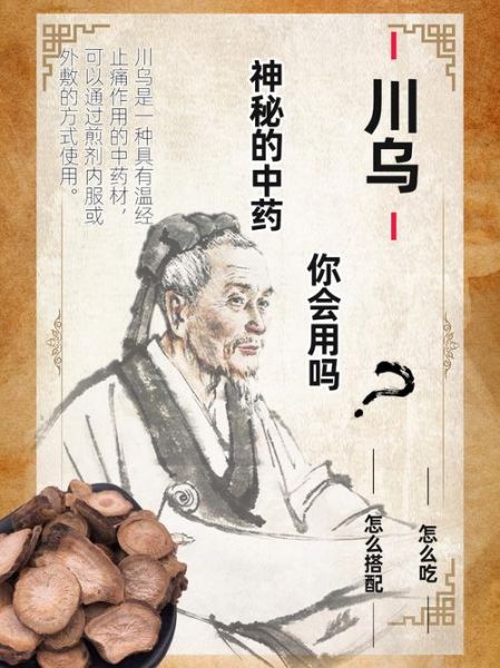 川乌的功效与作用_川乌的禁忌有哪些-第3张图片-山城妙识 川乌的功效与作用_川乌的禁忌有哪些-第3张图片-山城妙识